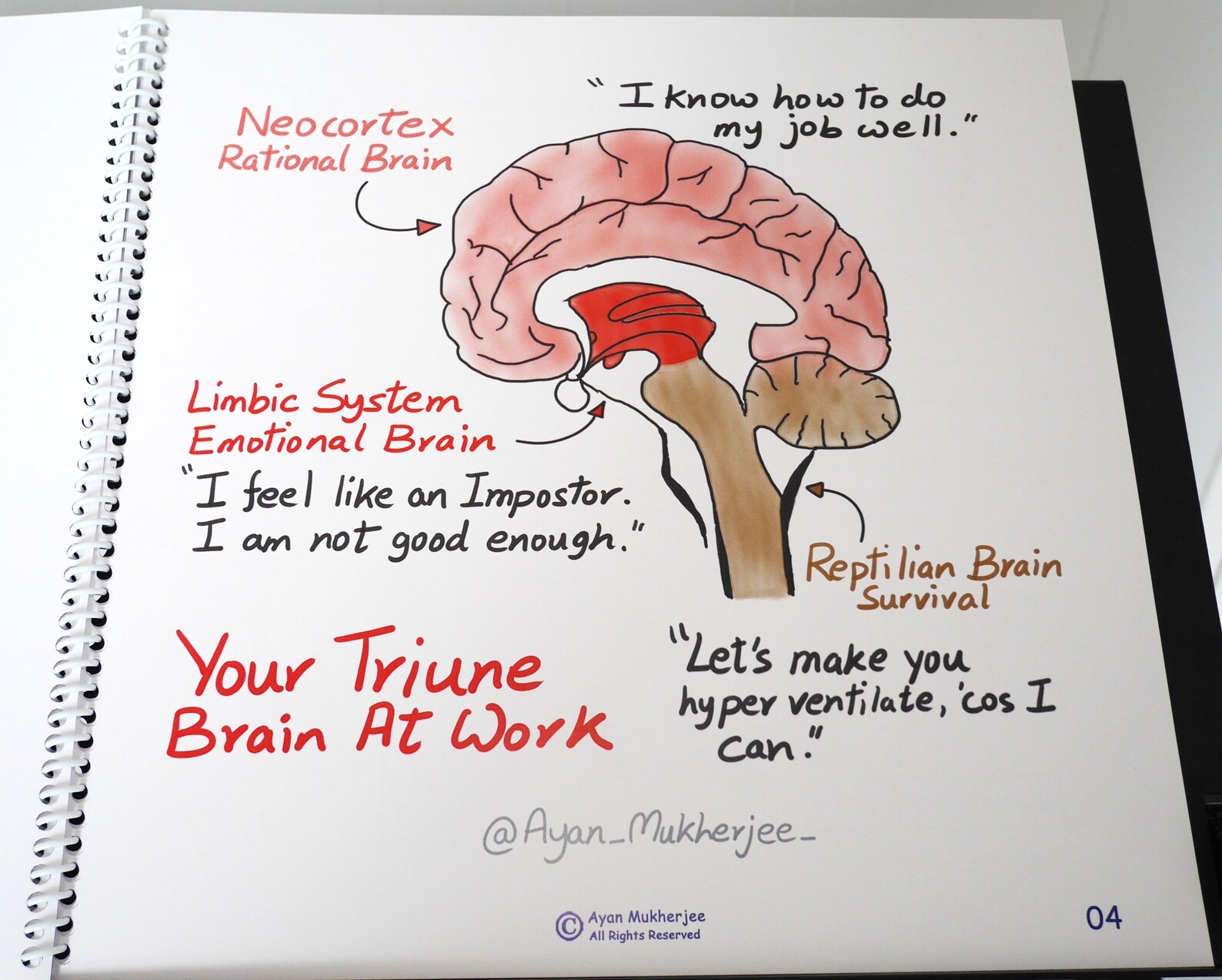 EMDR Therapy: Visual Aids Flipbook for Trauma & EMDR Therapy – Handmade ...