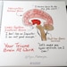 EMDR Therapy: Visual Aids Flipbook for Trauma & EMDR Therapy – Handmade ...