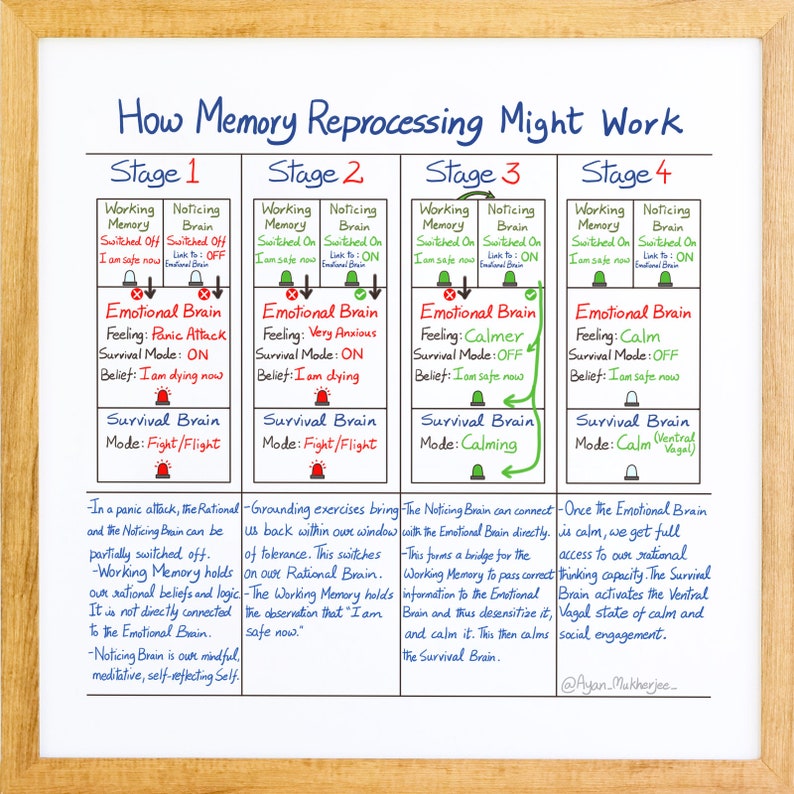 How Memory Reprocessing Might Work - Instant High-resolution Download ...