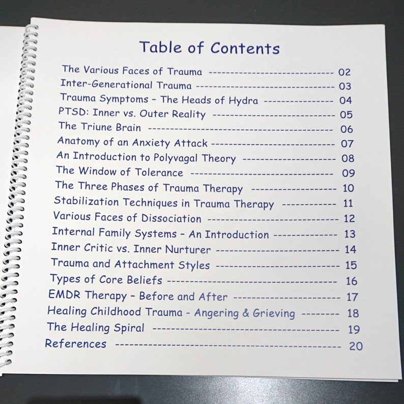 Visual Aids Flipbook for Trauma Therapy – Handmade Mental Health ...