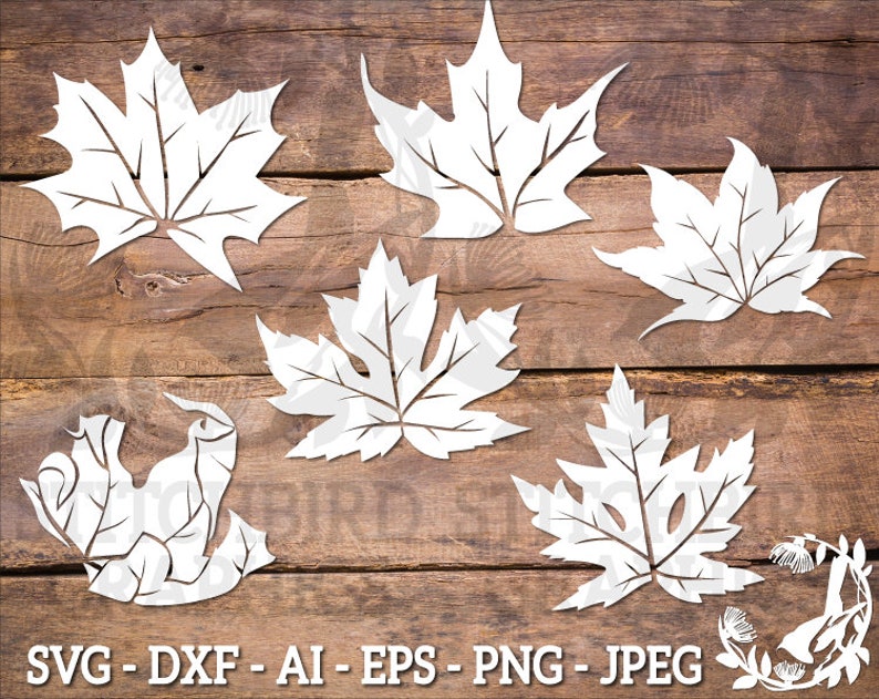 Maple Leaves SVG Instant Download Vector Art Commercial Use - Etsy