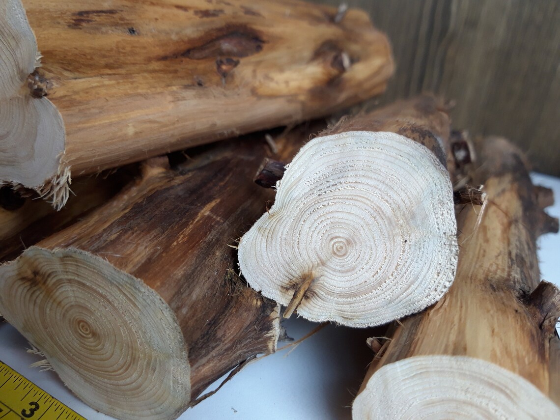 Juniper Wood Log DIY Craft Supplies Juniperus Communis | Etsy