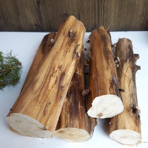 Juniper Wood Log DIY Craft Supplies Juniperus Communis - Etsy