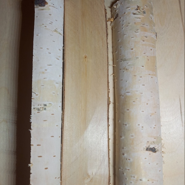 White Birch Logs - Etsy