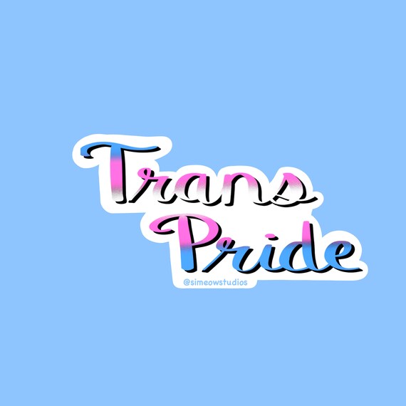 Transgender Flag Heart Sticker/ Trans Pride Weatherproof Die-Cut ...