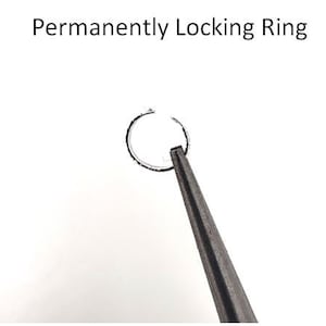 24/7 Discreet Locking 3/4 Solid O Ring Collar - Etsy