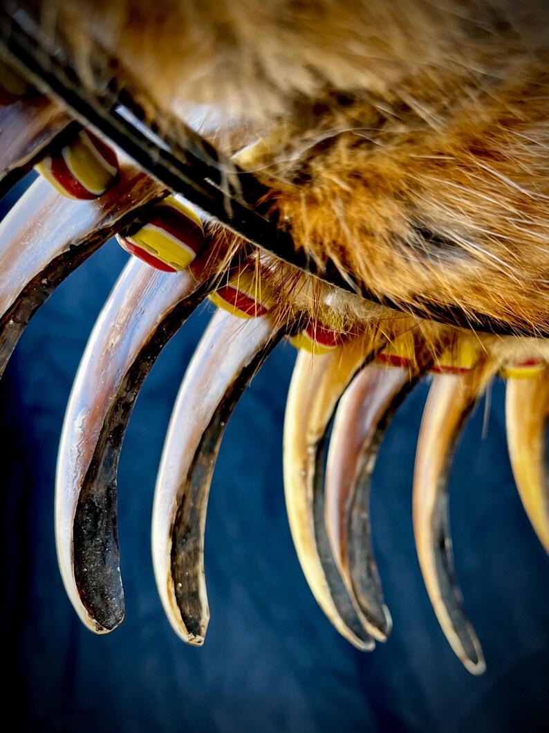 Plains Indian Style Grizzly Bear Claw Necklace - Bold, Traditional ...