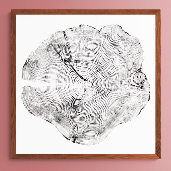 Tree Ring - Etsy