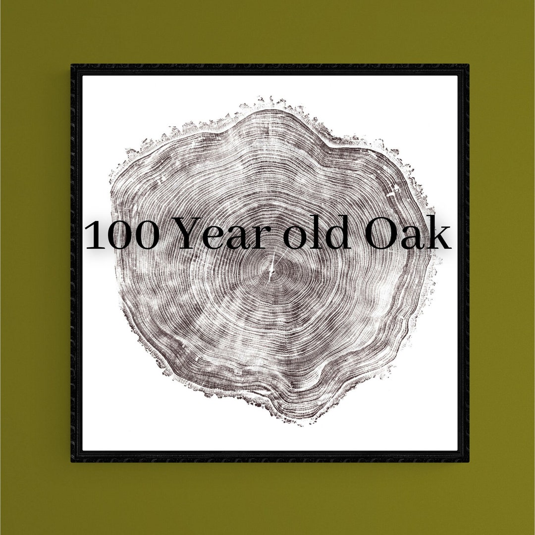 100 Year Old Oak to Download and Print, Oak Tree Ring Print, Woodcut ...