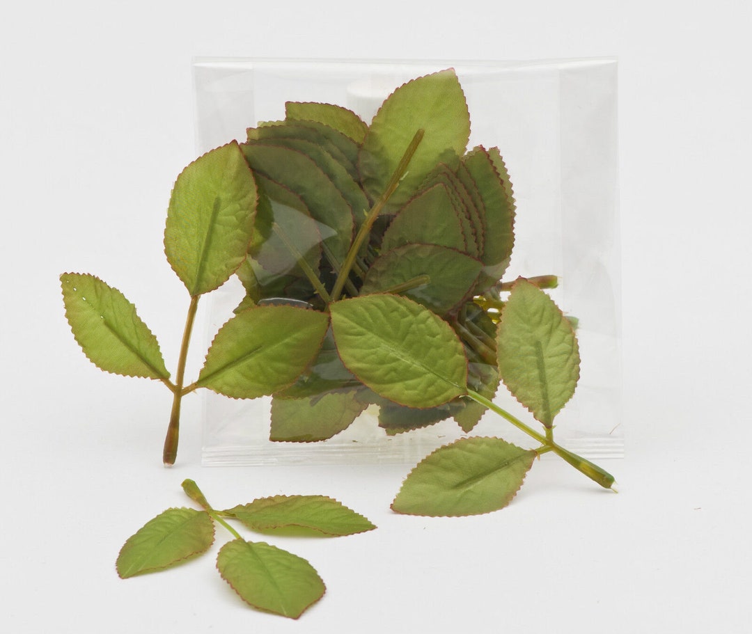 Triple Green Rose Leaves W/ Tinged Edge - Etsy