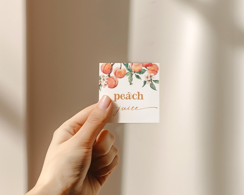 Peach Momosa Bar Sign Template • INSTANT DOWNLOAD • Editable, Printable ...