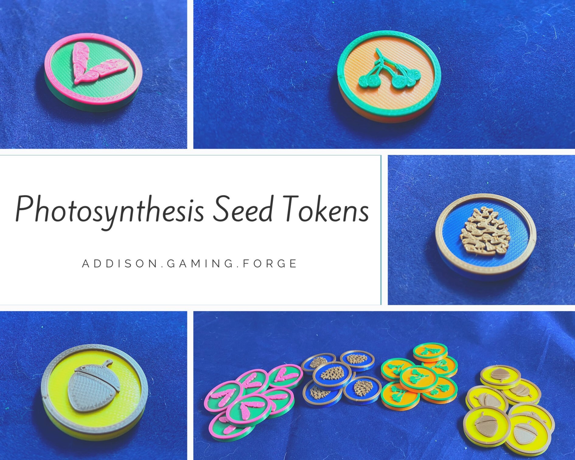 Photosynthesis Board Game, 3D Seed Tokens, Photosynthesis ...