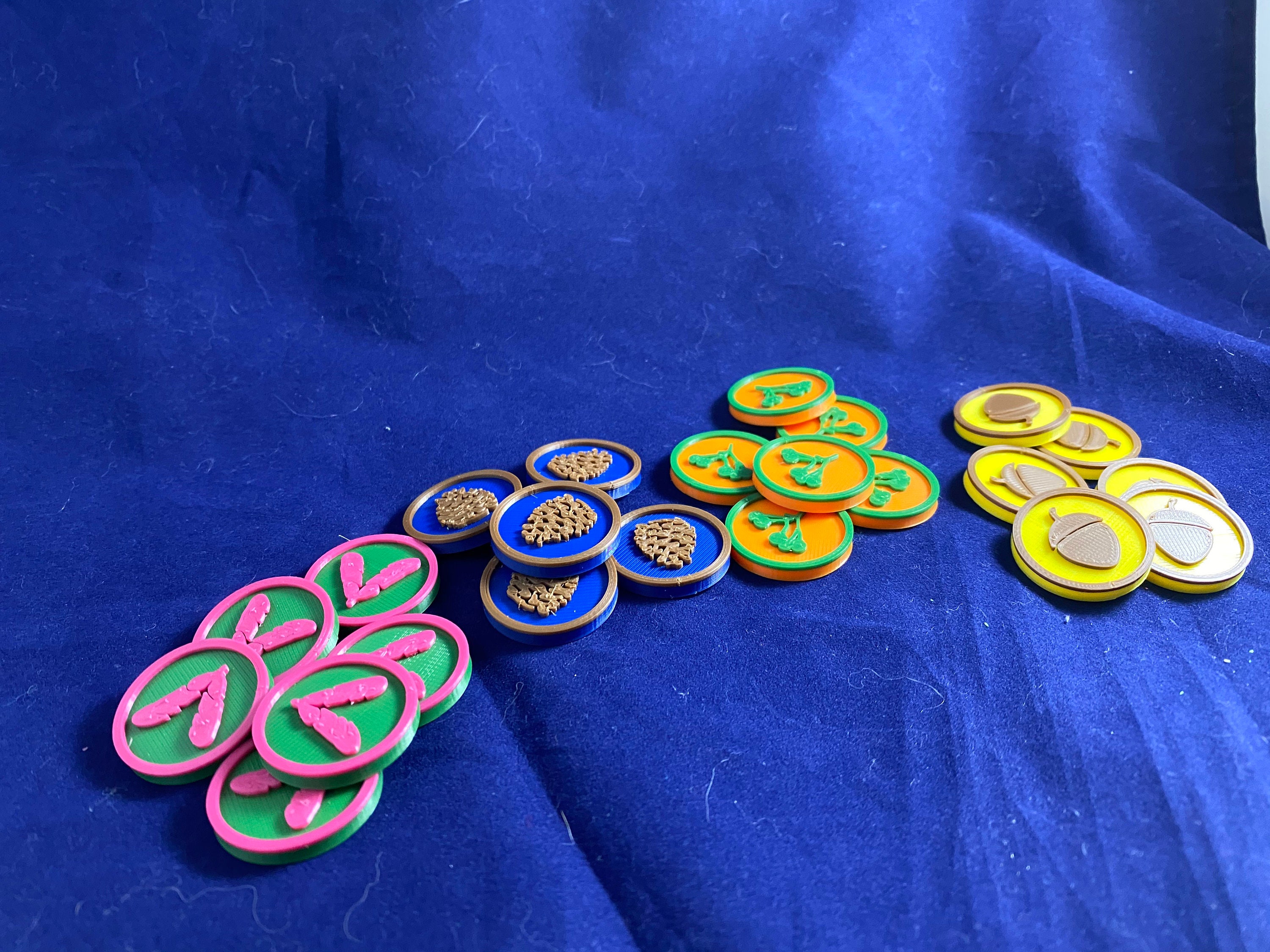 Photosynthesis Board Game, 3D Seed Tokens, Photosynthesis ...