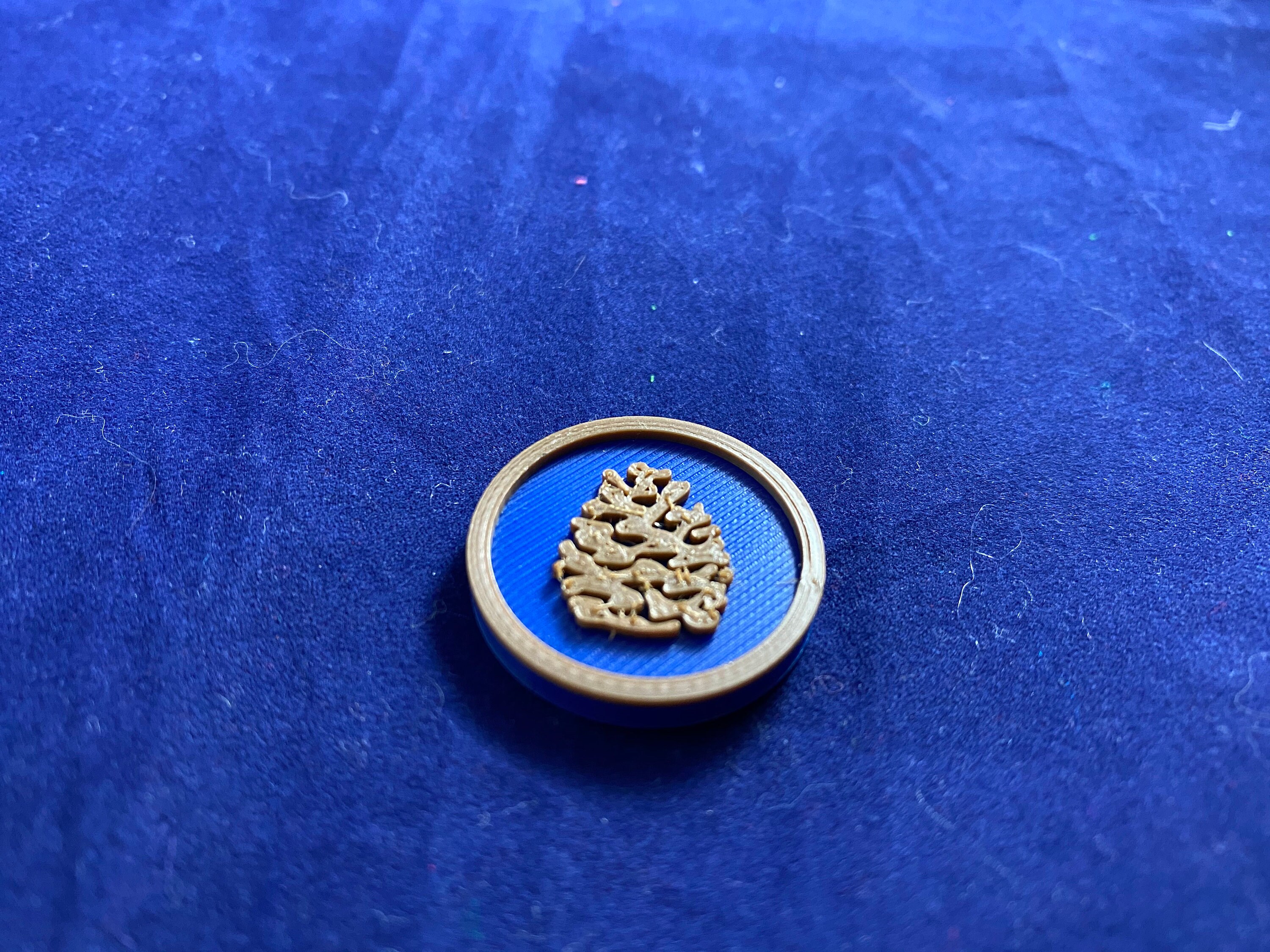 Photosynthesis Board Game, 3D Seed Tokens, Photosynthesis ...