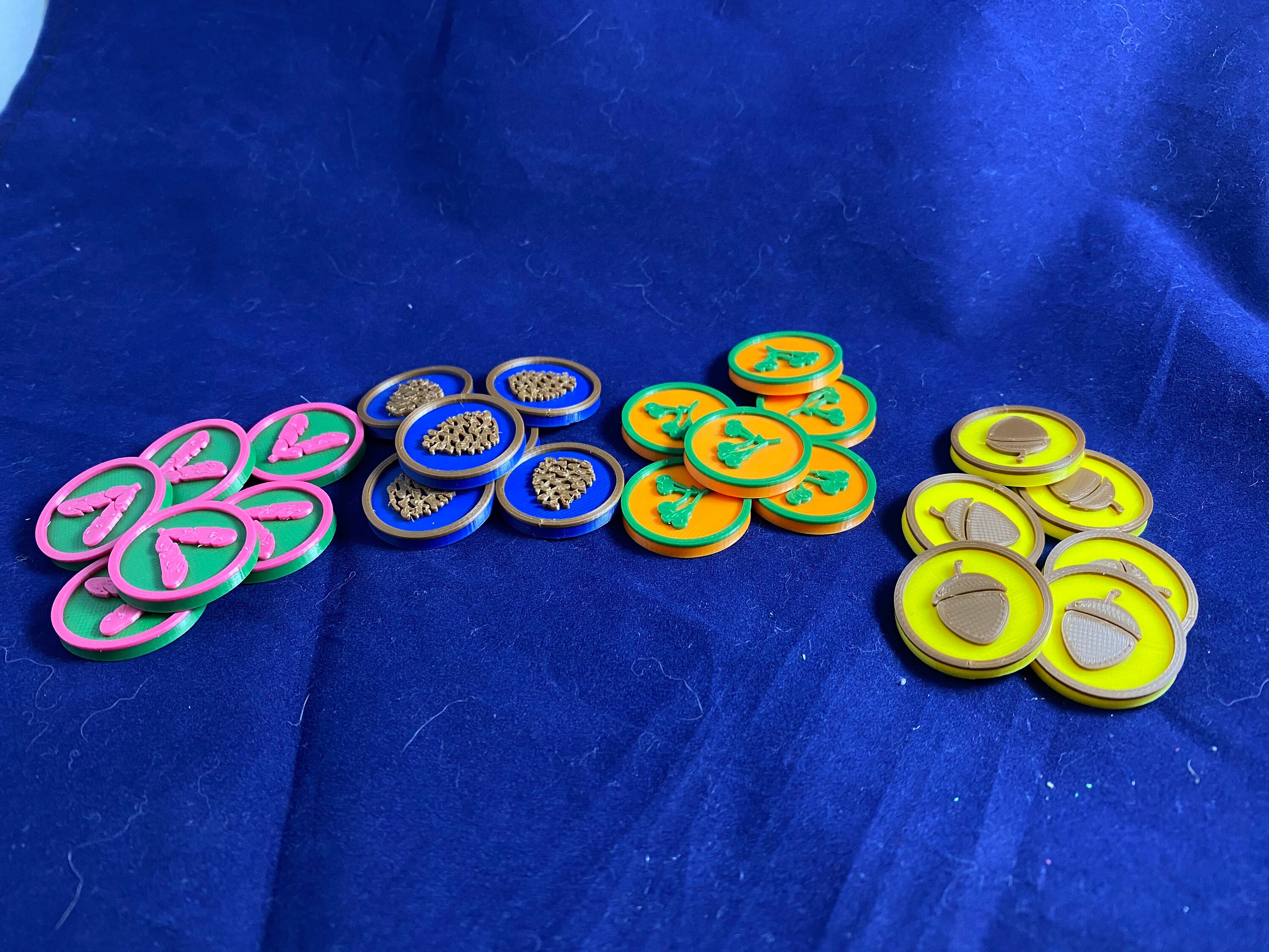 Photosynthesis Board Game, 3D Seed Tokens, Photosynthesis ...