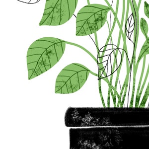 Kitchen Herb Art Print Basil, Basil Wall Art Printable, Farmahouse ...