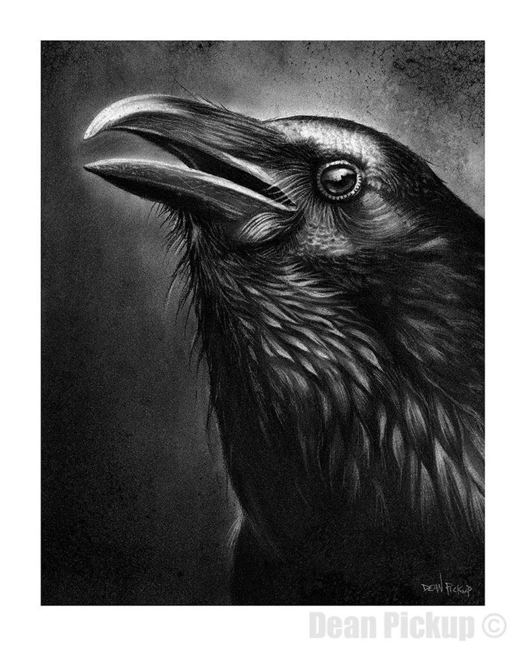 Raven Fine Art Print - 13"x16", Wall Art, Charcoal Drawing, Wildlife ...