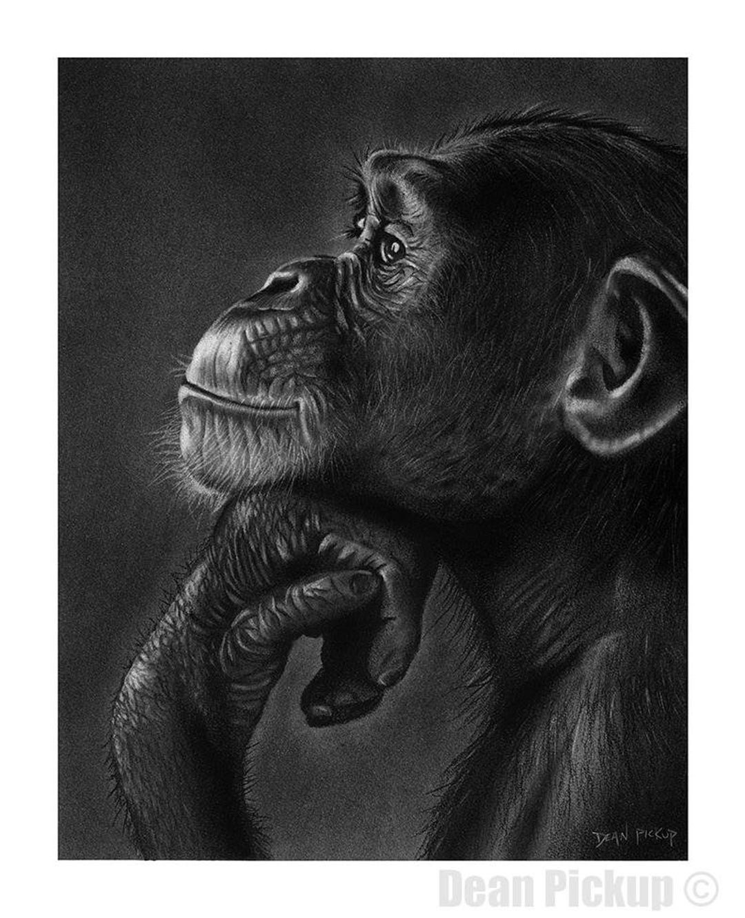 The Thinker, Fine Art Print - 13"x16", Wall Art, Charcoal Drawing ...