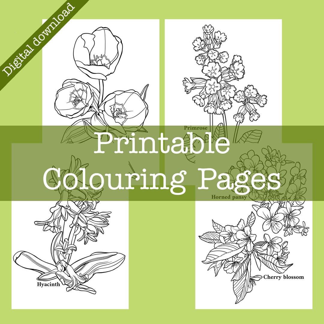 5 Printable Spring Flowers Colouring Pages | PDF Digital Download - Etsy