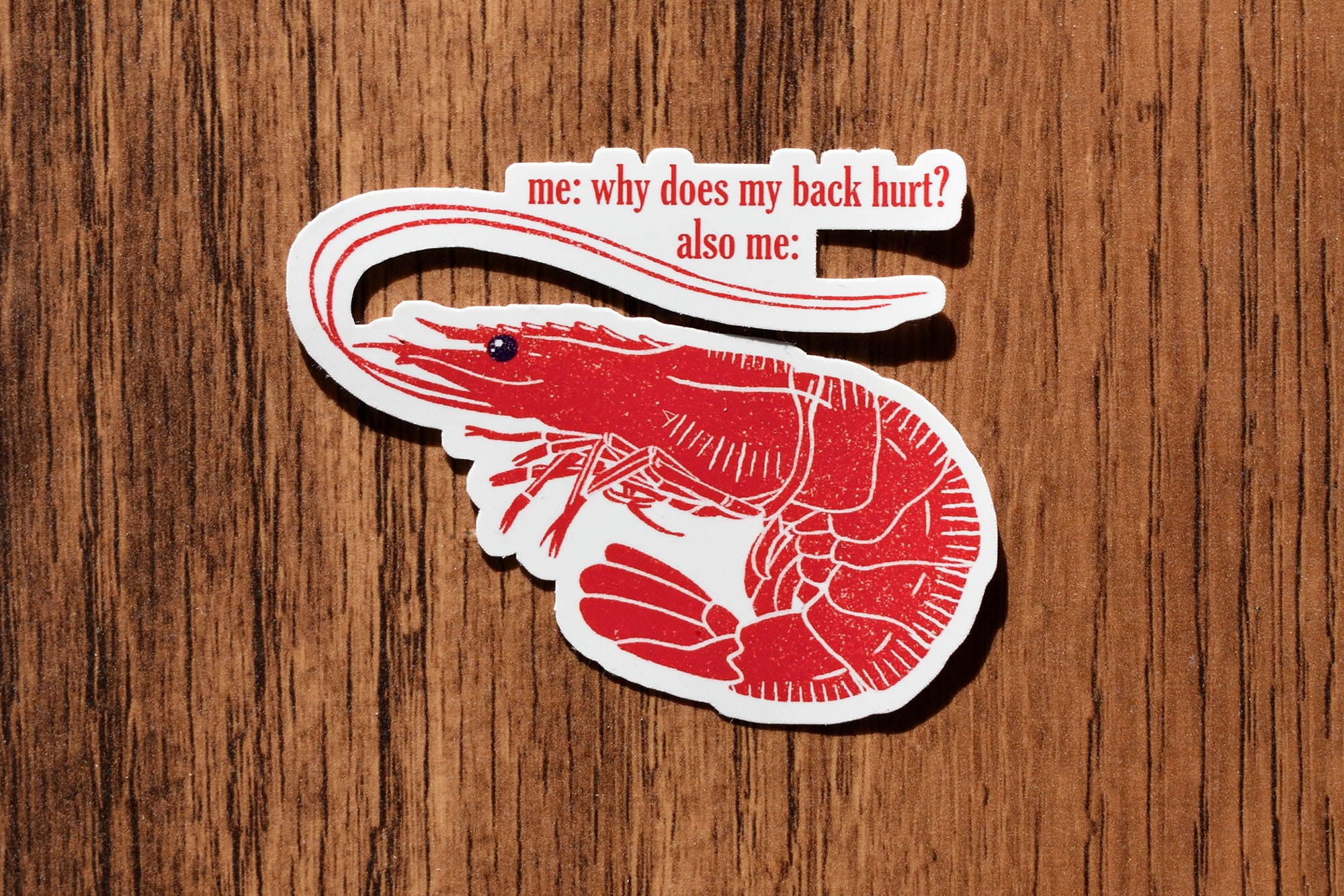 Bad Posture Shrimp Sticker - Etsy