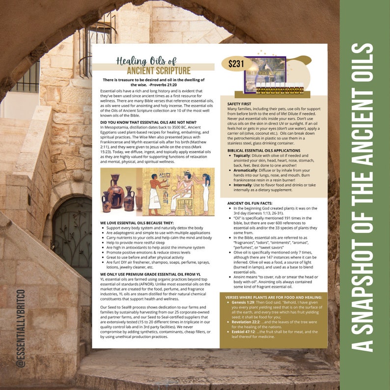 Oils of Ancient Scripture Flyer Young Living Collection - Etsy