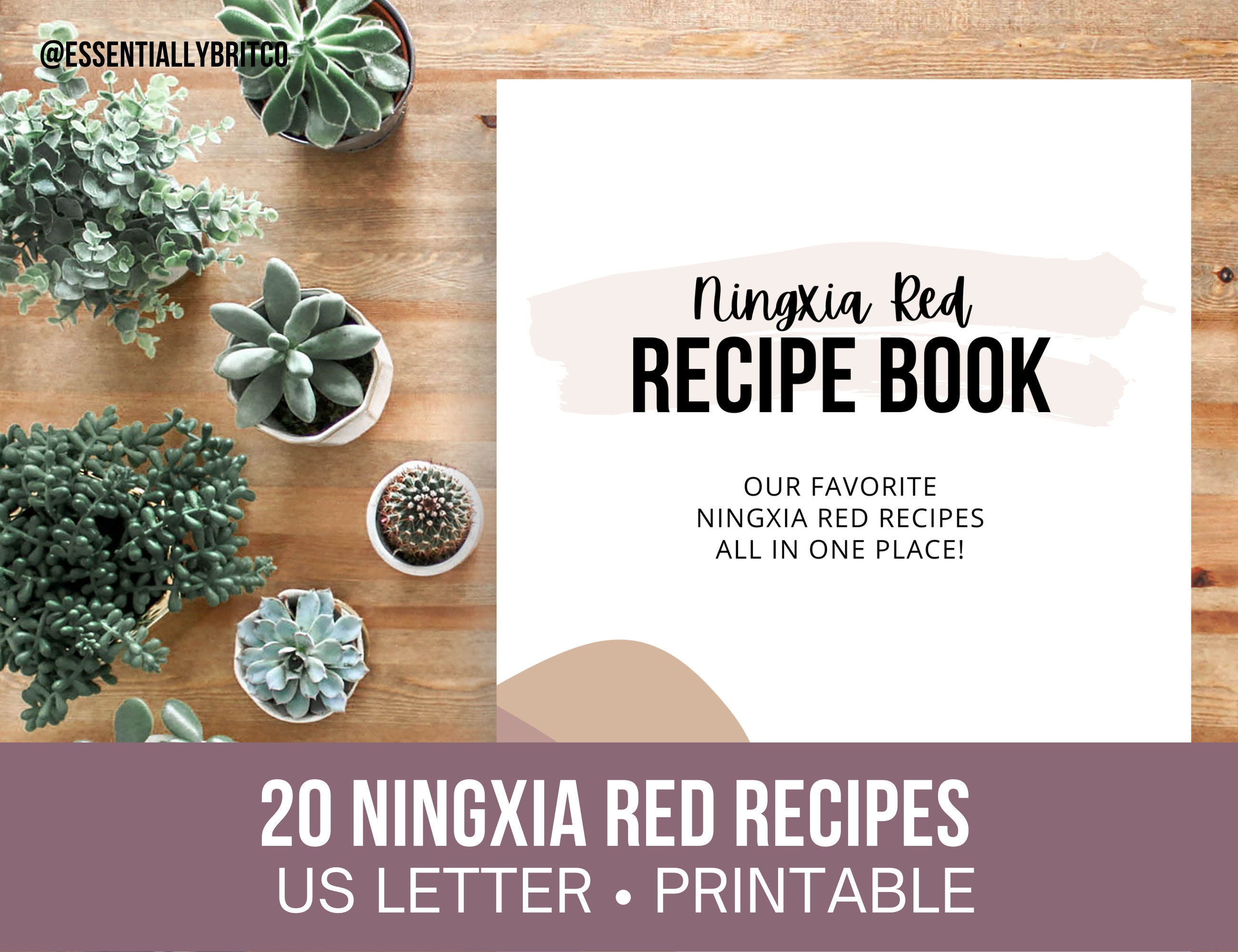 NEW Ningxia Red Recipe Book With 20 Recipes Made With Young Living ...