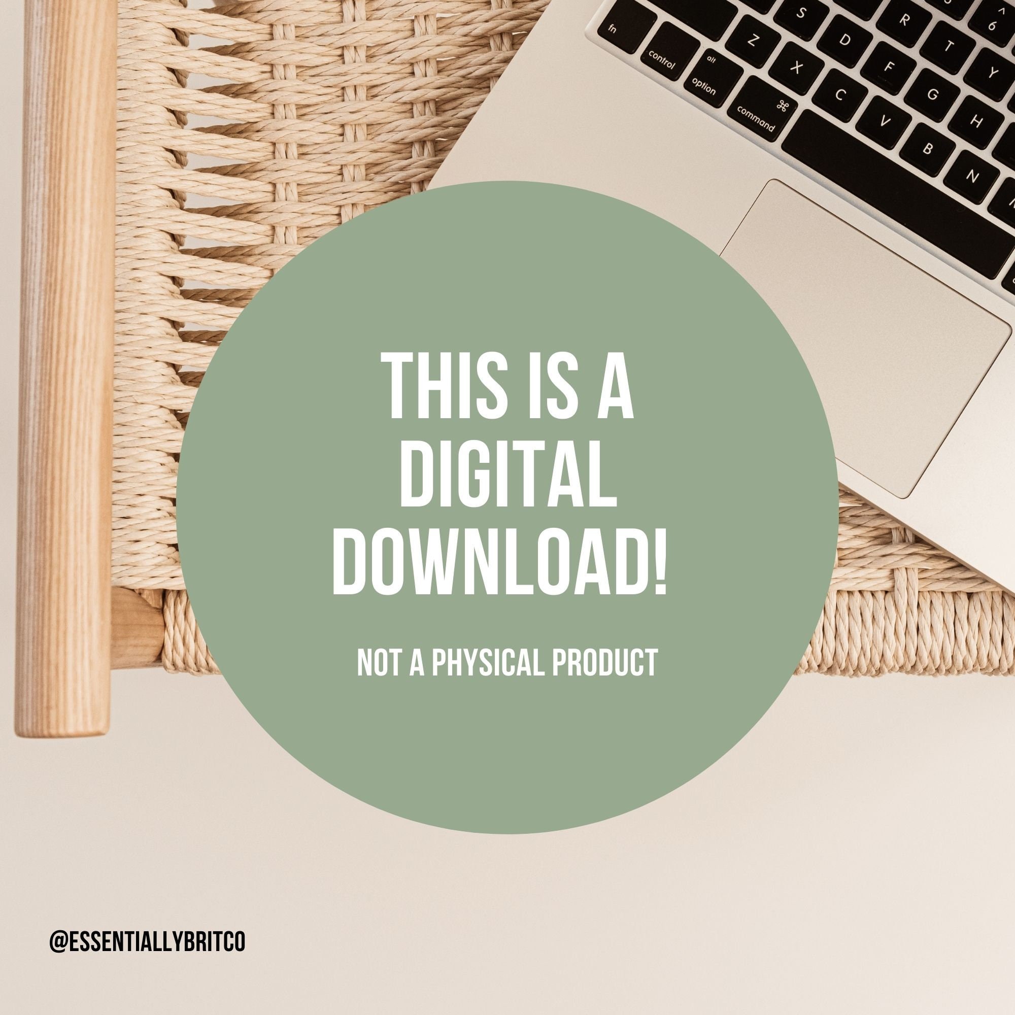 NEW Young Living Diffuser Flyer Desert Mist, Aria, Duet, - Etsy