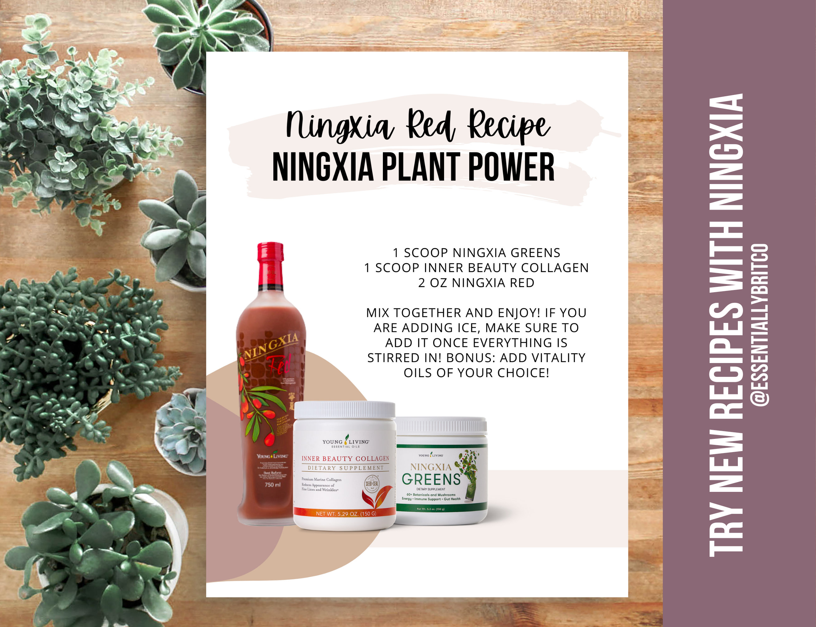 NEW Ningxia Red Recipe Book With 20 Recipes Made With Young Living ...