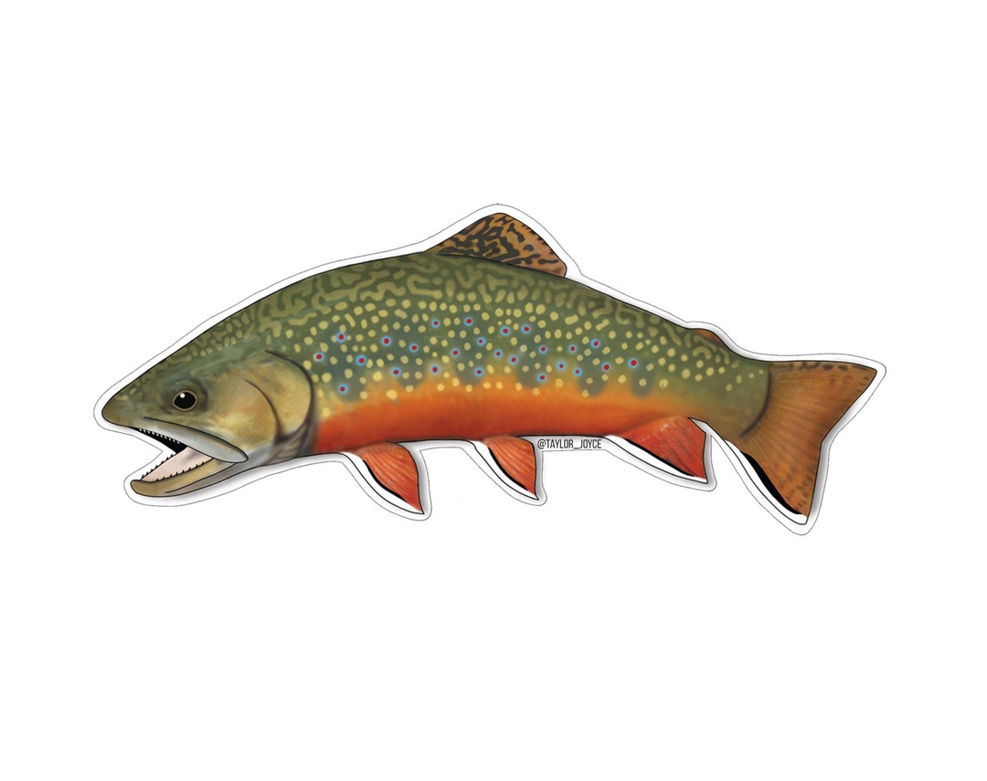 Brook Trout Sticker large - Etsy