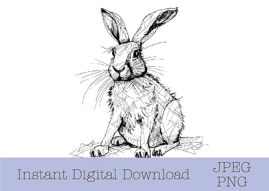 Rabbit Scribble Sketch Clipart JPEG PNG, Bunny Clipart Digital Download ...