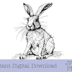 Rabbit Scribble Sketch Clipart JPEG PNG, Bunny Clipart Digital Download ...