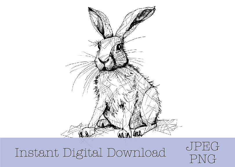 Rabbit Scribble Sketch Clipart JPEG PNG, Bunny Clipart Digital Download ...