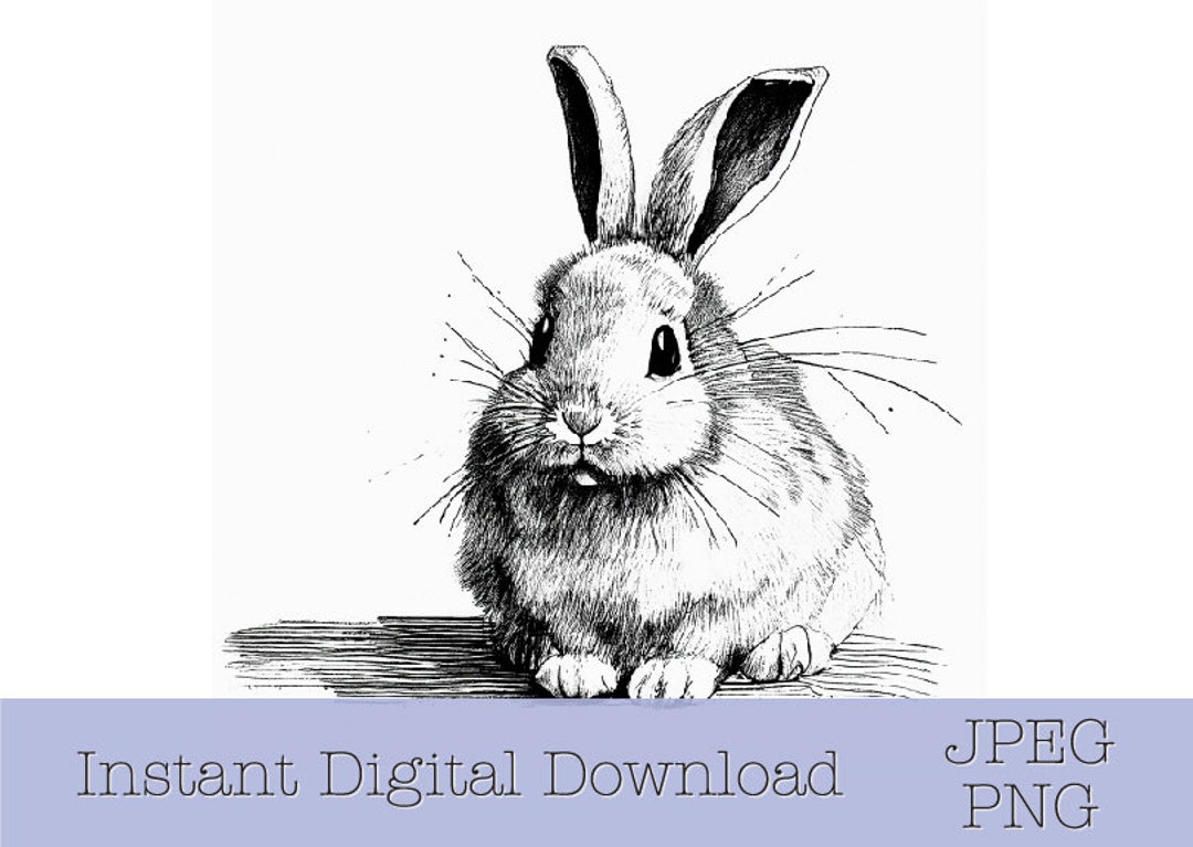Cute Rabbit Sketch Clipart JPEG PNG, Easter Bunny Clipart Digital ...