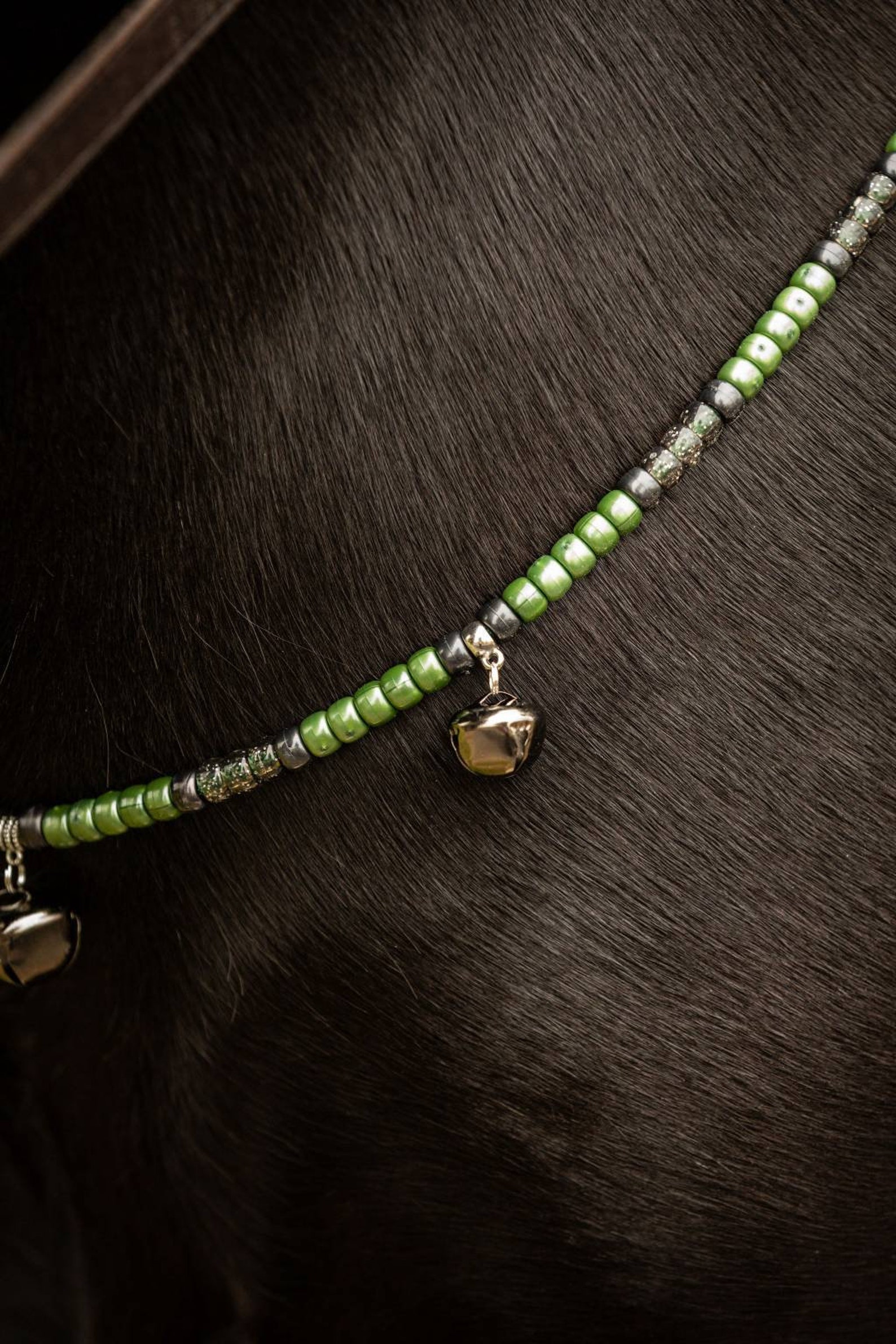 Rhythm Beads for Horses//horse Rhythm Beadshorse Rhythm Bead - Etsy