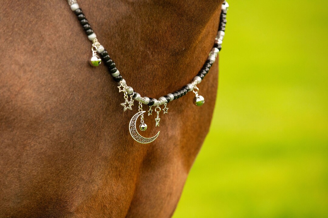 Rhythm Beads for Horses//horse Rhythm Beads,horse Rhythm Bead Necklace ...