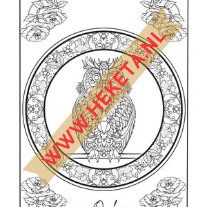 OWL , Spirit Animal Coloring Page, Heketa, Digital File, PDF Owl ...