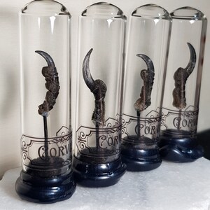 Crow - CORVUS - Kraai , LUXURY Mini Dome - Heketa - Etsy