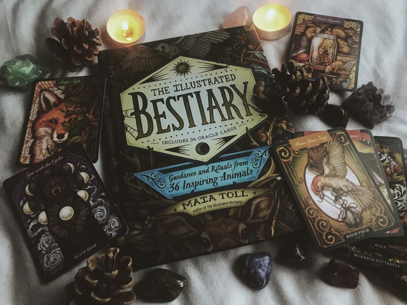 The Illustrated Bestiary book 36 Oracle Cards | Etsy