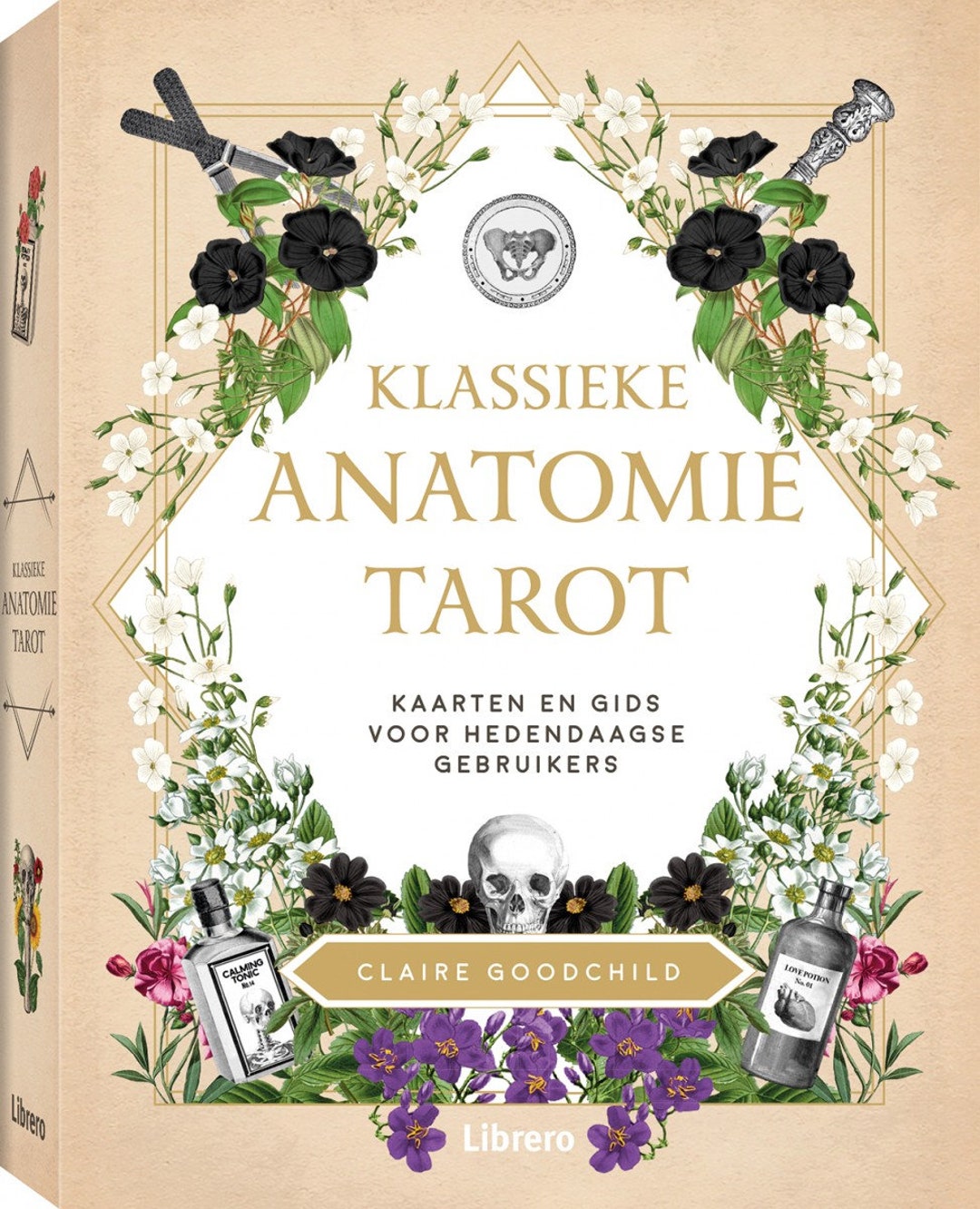 Antique Anatomy Tarot Deck - DUTCH EDITION - Klassieke Anatomie Tarot ...