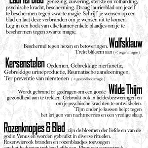 Heketa's Herbiary Digital Download Kruiden Gids 6 | Etsy