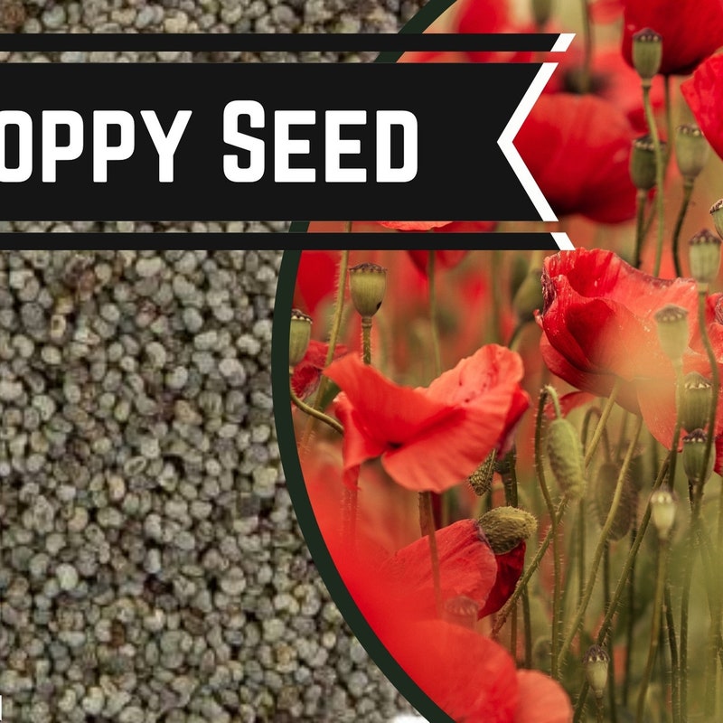 Poppy Seeds - Etsy