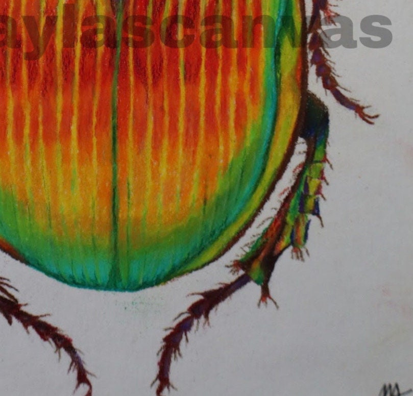 Colored Pencil Artwork Titled microscope - Etsy