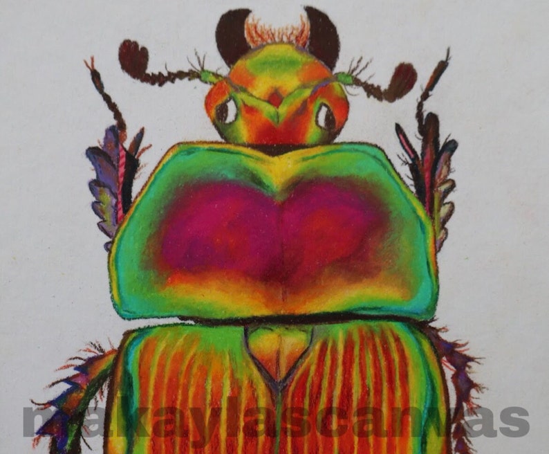 Colored Pencil Artwork Titled microscope - Etsy