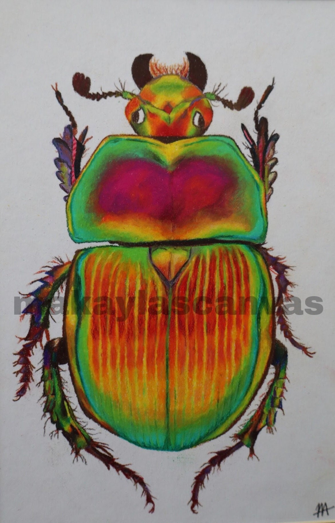 Colored Pencil Artwork Titled microscope - Etsy