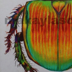 Colored Pencil Artwork Titled microscope - Etsy