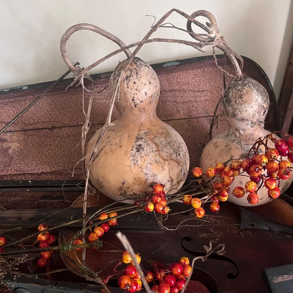 Bittersweet Garland - Etsy