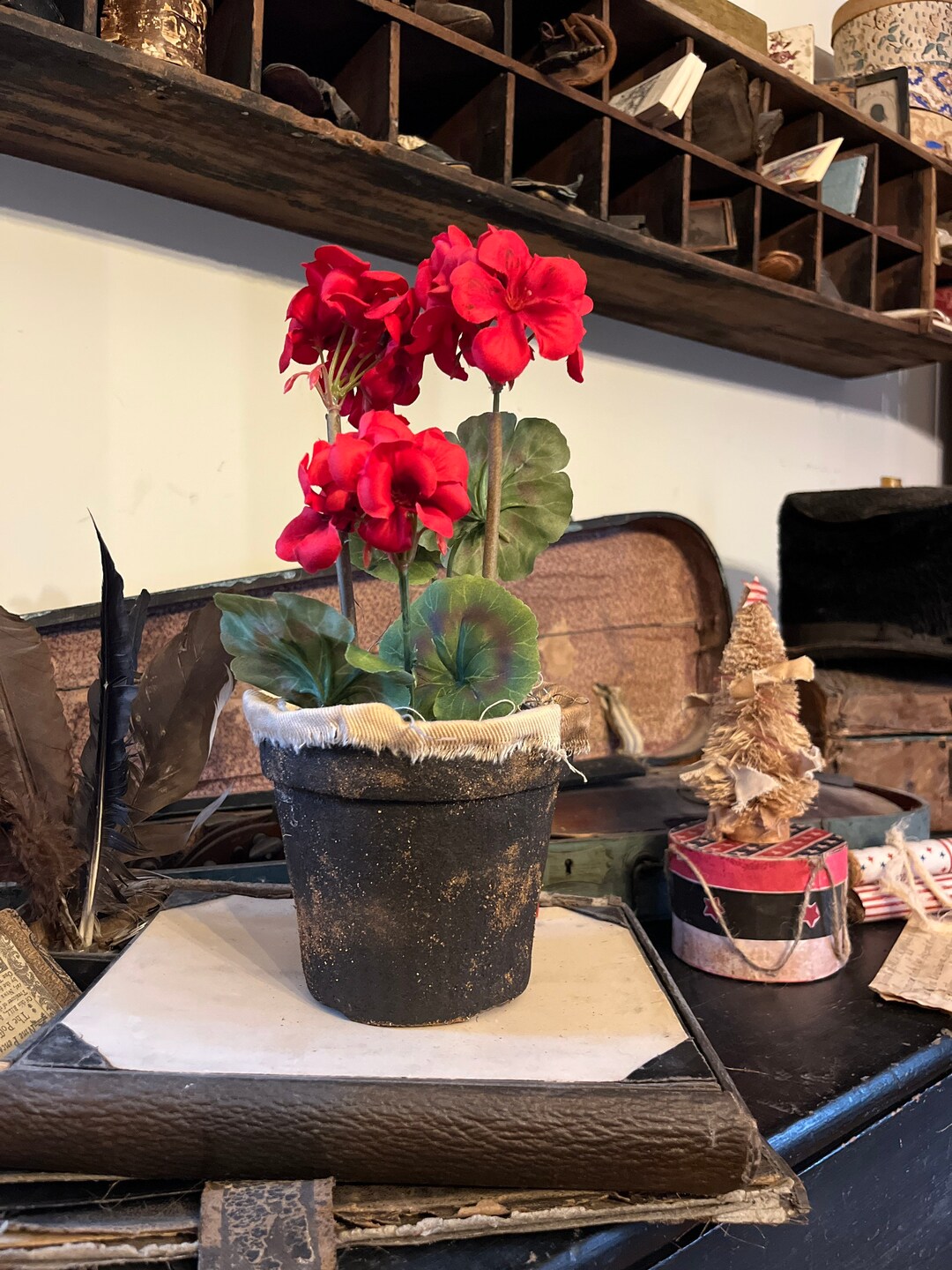 Primitive Early Look Grubby-geraniums~primitive Flowers ~primitive ...