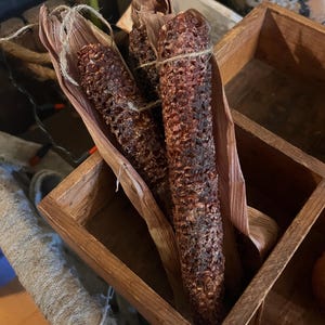 Primitive Dried Corn Cobs Waxed ~primitive Fall~ Primitive Corn~ Dried Corn ~grubby Corn ...