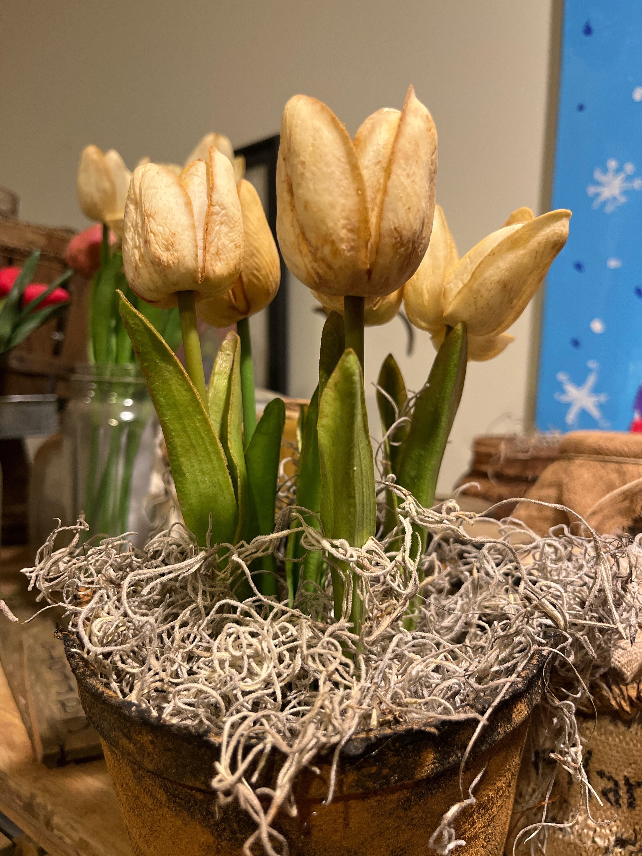 Primitive Spring Tulip Arrangement in Distressed Terra Pot - Etsy
