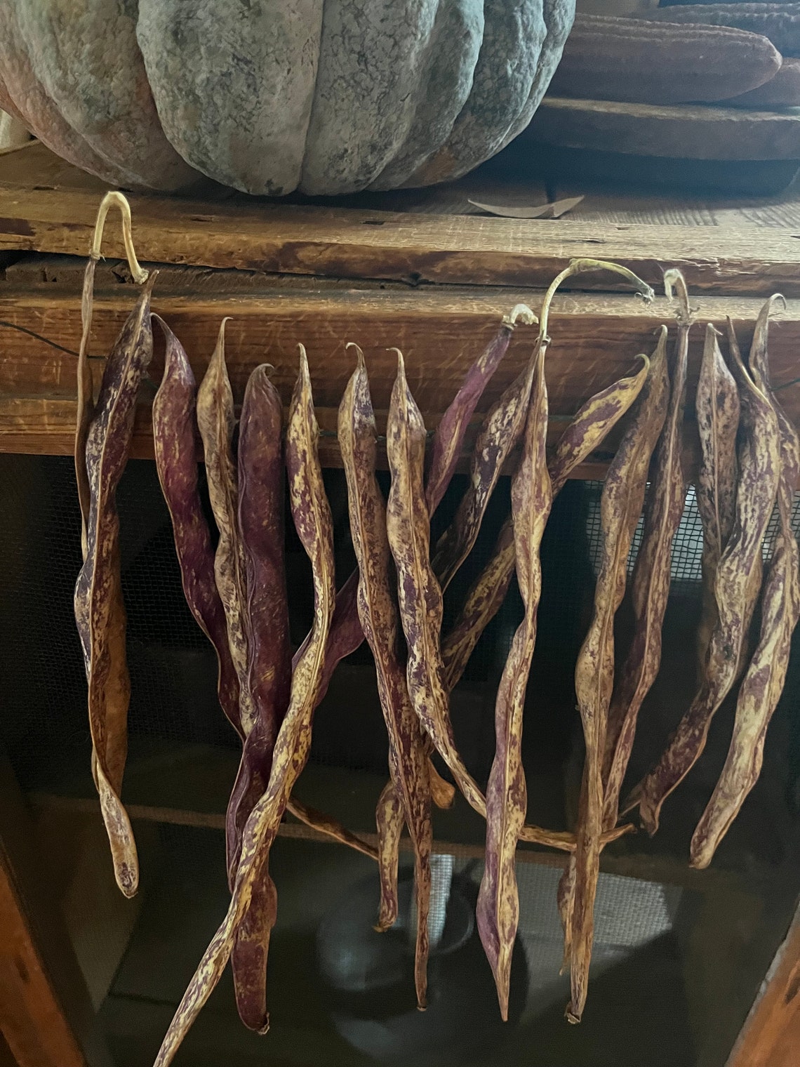 Primitive Cupboard Tuck~pantry Needful~buttery~dried Beans Garland - Etsy